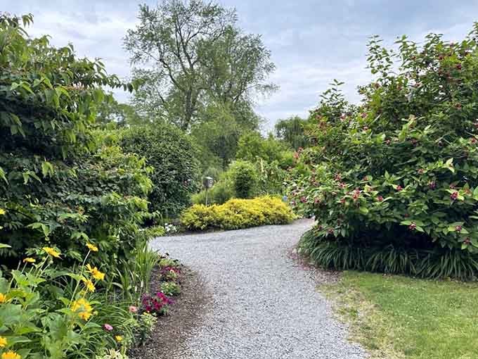 Winding gravel paths lead through lush plantings where every turn reveals another burst of vibrant summer color.