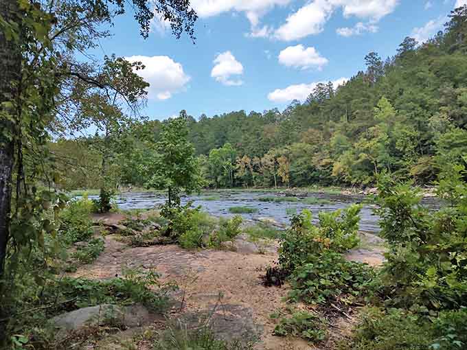 The river flows strong and steady, carving its path through green hills like liquid determination.