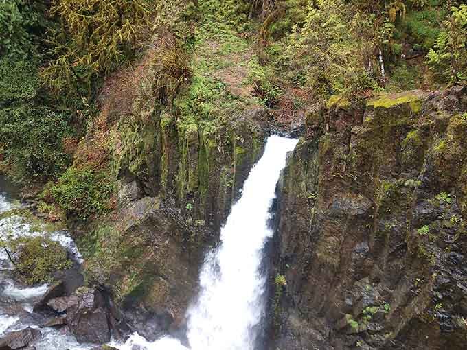 Nature&rsquo;s high-pressure shower is serving up major mossy vibes and crisp, rushing water in this lush forest cathedral.