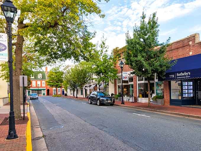 Easton's tree-canopied streets create natural shade tunnels, making summer strolls feel like walking through a green cathedral.
