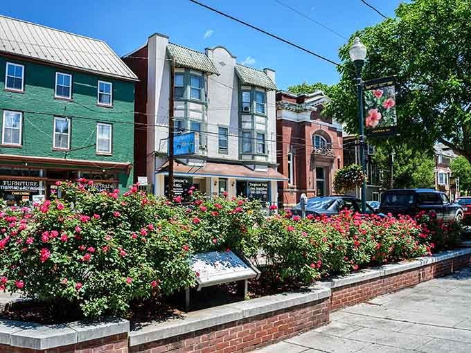 Vibrant flower beds frame colorful storefronts in this canal town where history blooms alongside modern community pride and charm.
