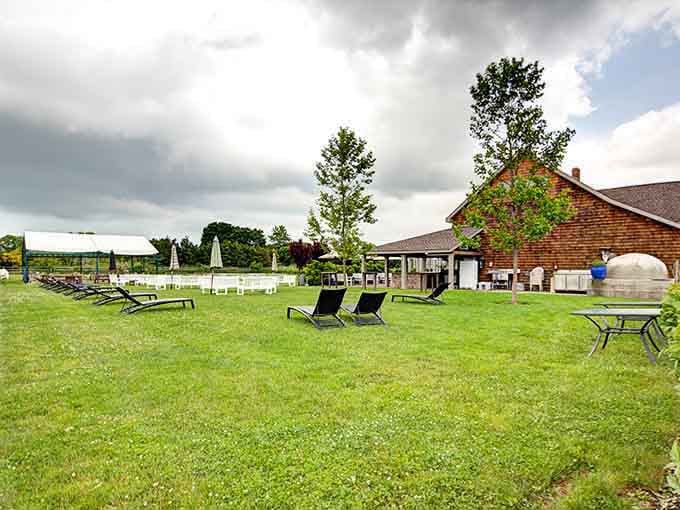 Even under moody skies, this sprawling lawn and vineyard setting radiates pure weekend escape energy.