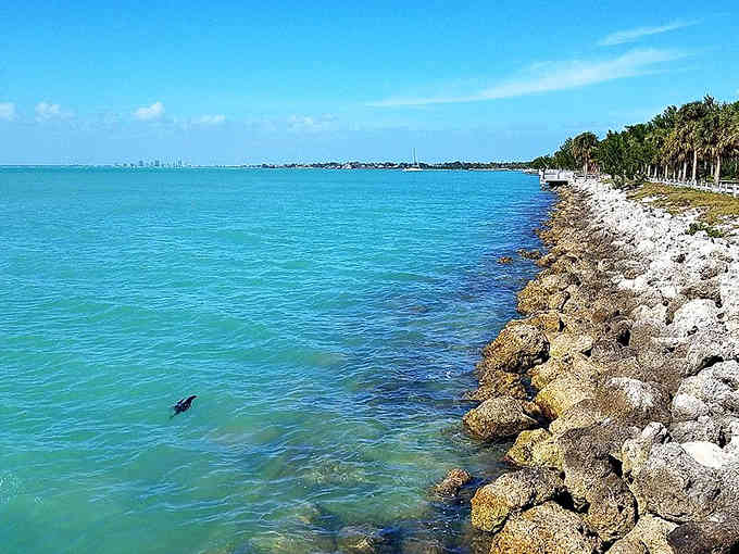 Turquoise waters stretch endlessly along this rocky coastline, where the color seems too perfect to be natural but absolutely is.