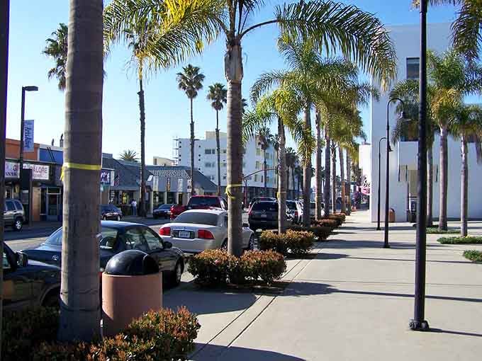 Palm trees march down the boulevard like soldiers on parade, bringing that classic California coastal vibe home.