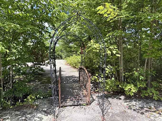 An ornate metal archway frames the trail ahead, marking your passage into nature's own cathedral.