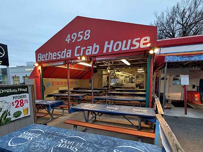 As evening approaches, those glowing lights transform this spot into a magical crab-eating destination.