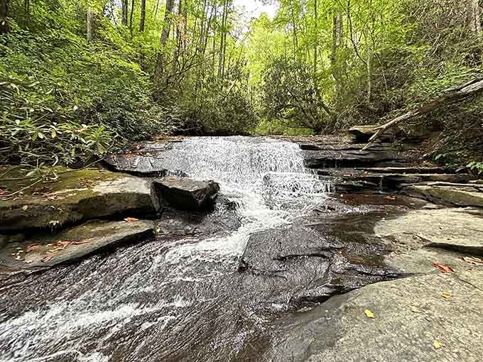 Water cascades over layered rock formations in this forest sanctuary where nature shows off its sculptural talents beautifully.