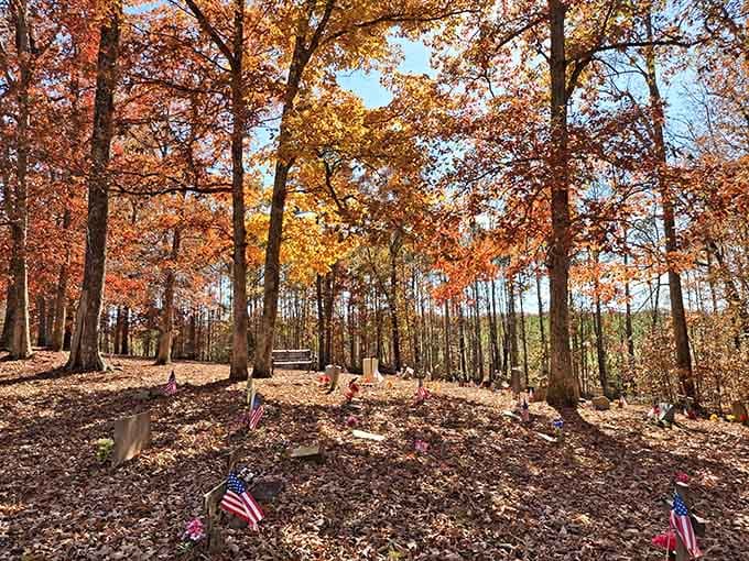 Golden autumn leaves blanket the cemetery where coonhounds rest after lives spent doing what they loved most.