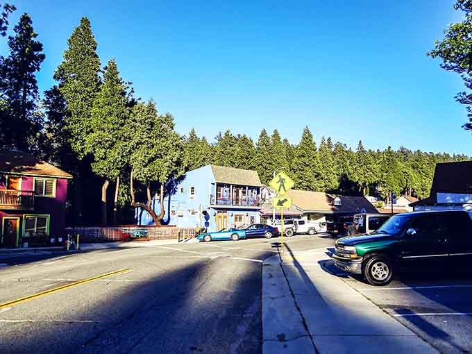 Sunlight filters through tall pines onto pathways connecting cozy restaurants where mountain hospitality feels refreshingly genuine and warm.