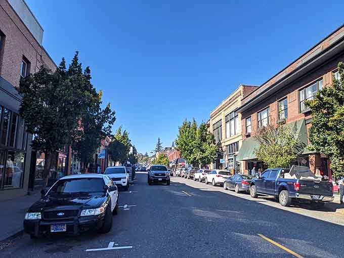 Tree-shaded streets lead past well-maintained storefronts where shopping feels personal and parking is actually available, imagine that.