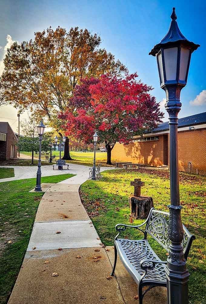 Fall colors explode like nature's own fireworks display, proving Texas does have seasons if you know where to look for them.