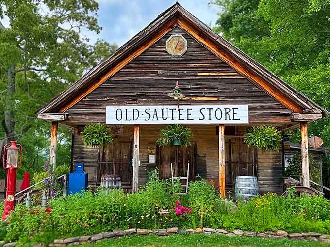 The Old Sautee Store's weathered wood and vintage gas pump transport you to simpler times faster than any locomotive.