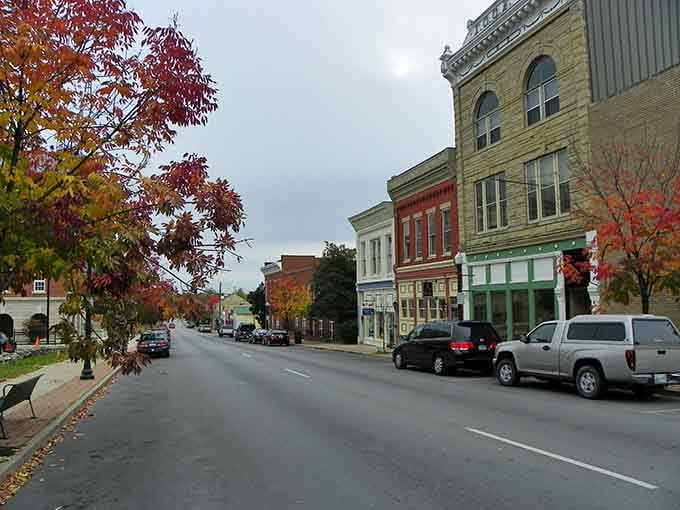 Autumn leaves frame these storefronts like nature's own decorating committee showed up and nailed the assignment.