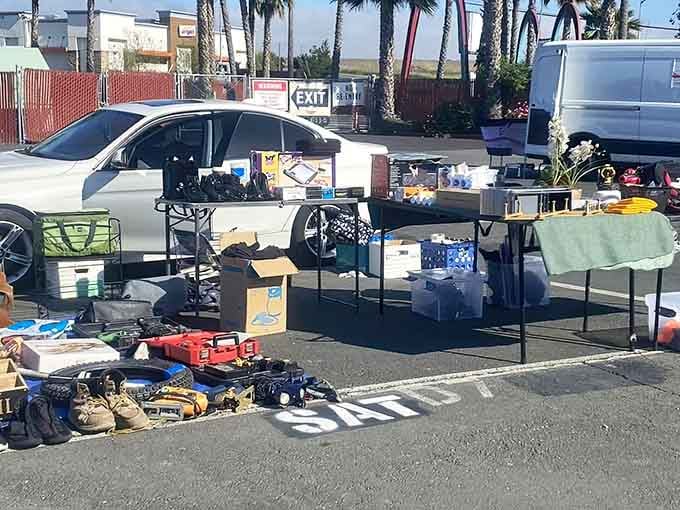 Morning shadows stretch across pavement where everyday treasures wait patiently for someone to recognize their hidden potential and value.