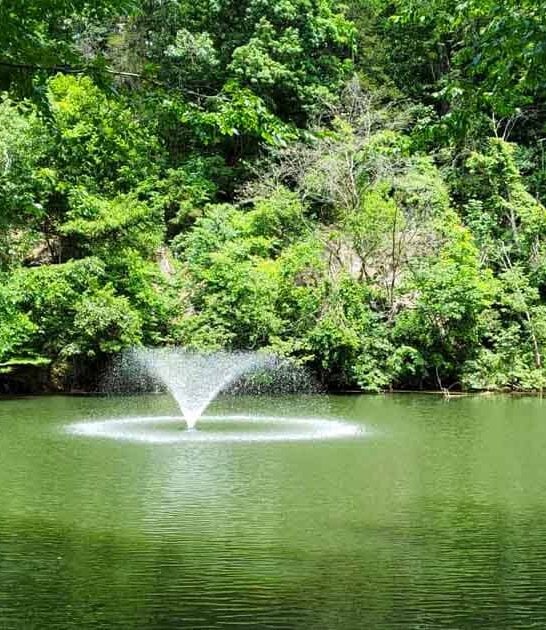 acre virginia park furnace ftr