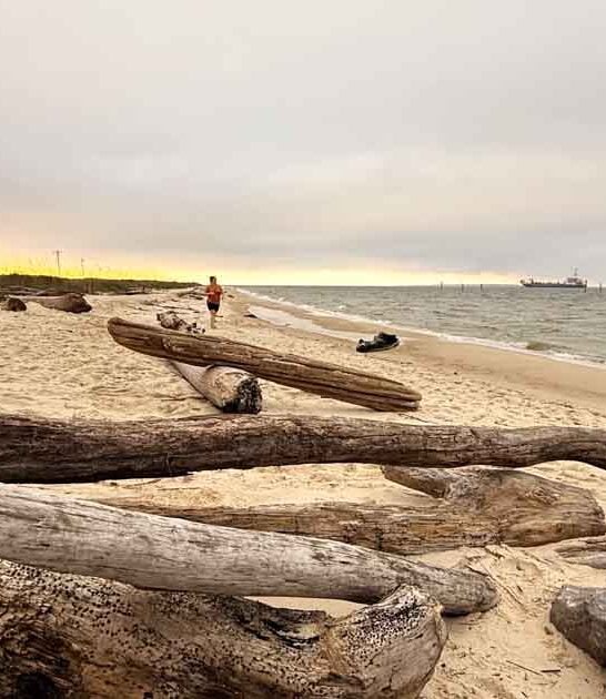 alabama beach clear water ftr