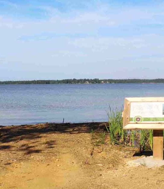 Pack Your Swimsuit And A Fishing Rod For A Perfect Day At This Charming Alabama Park