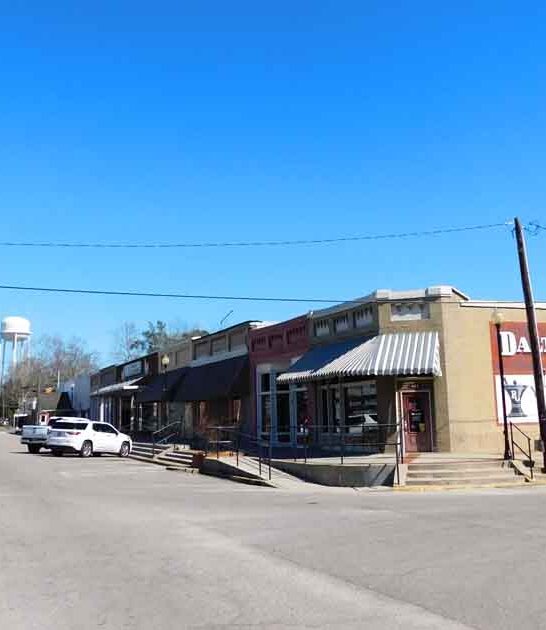 alabama discover tomato capital ftr