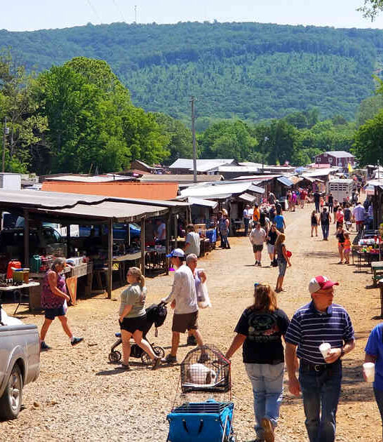 alabama flea market thrifting ftr
