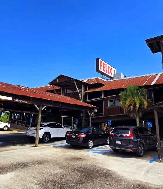 alabama gorgeous fish camp ftr
