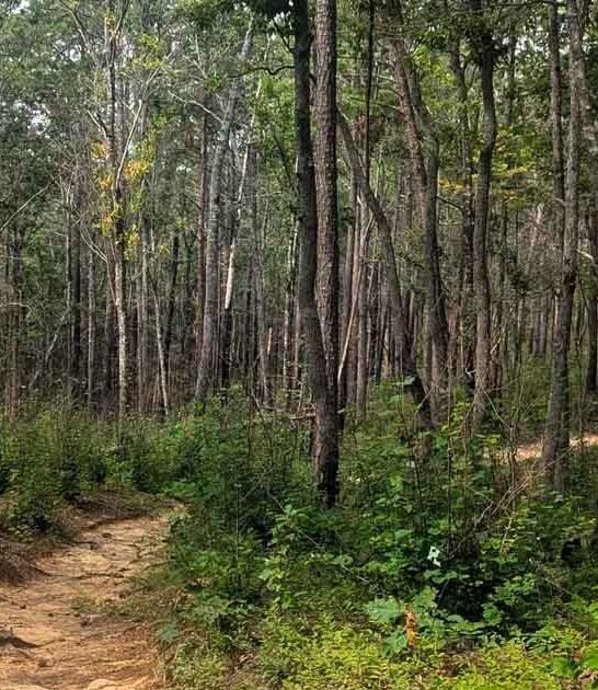 alabama hike beautiful waterfalls ftr