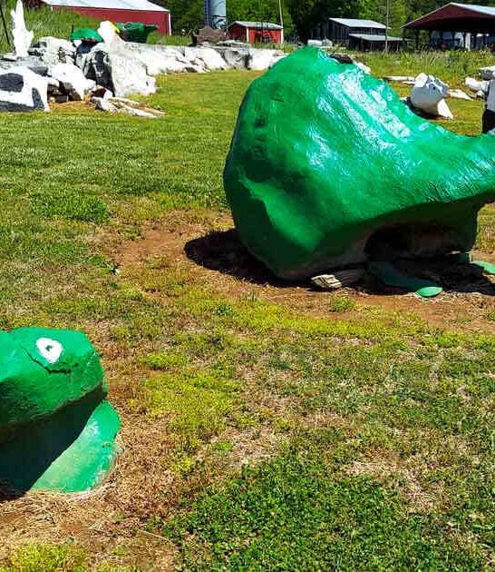 alabama zoo animal stone ftr