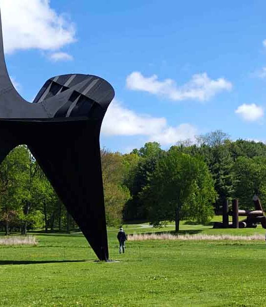 amazing park new york ftr