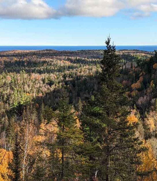 This Ancient Minnesota Forest Is One Of The State&rsquo;s Best Kept Secrets