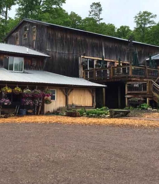 animal friendly michigan winery ftr