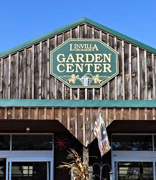 apple cider donuts pennsylvania ftr