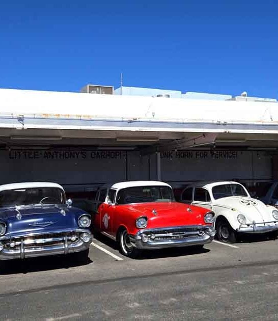 arizona classic diner milkshakes ftr