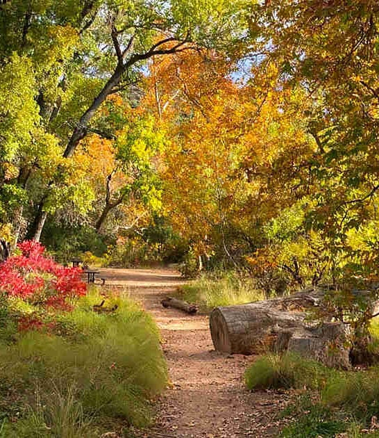 arizona hike magical waterfall ftr