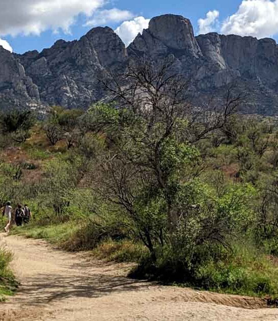 arizona park jaw dropping ftr
