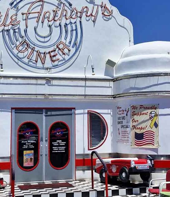 arizona retro diner milkshakes ftr