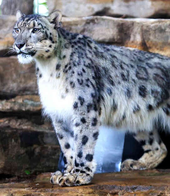 arizona zoo bucket list ftr