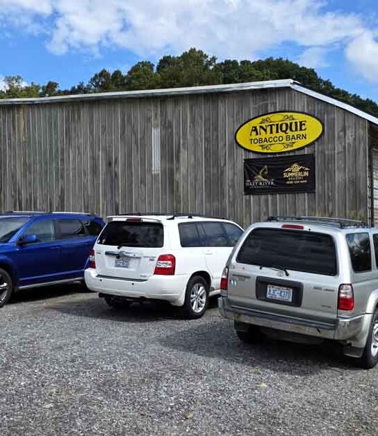 bargain flocking north carolina ftr