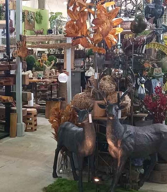 bargain love georgia market ftr