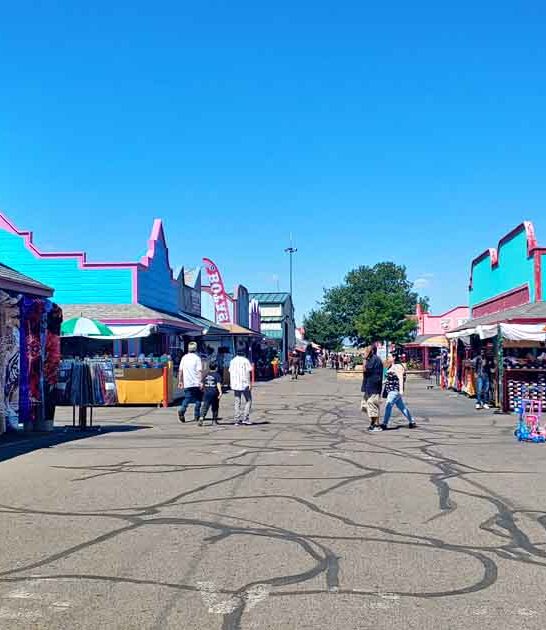 bargain love market colorado ftr