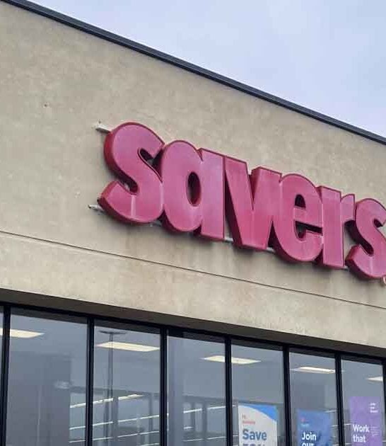 bargain thrift shopping massachusetts ftr