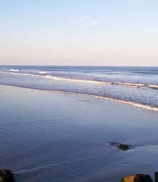 beach vacation new jersey ftr