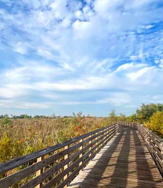 beautiful alabama spots missing ftr