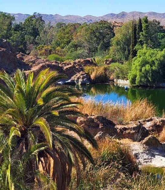 beautiful arizona garden ftr