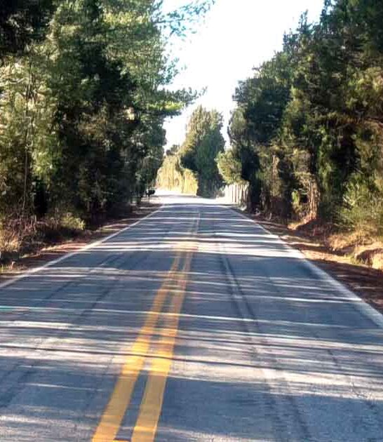 beautiful byways south carolina ftr