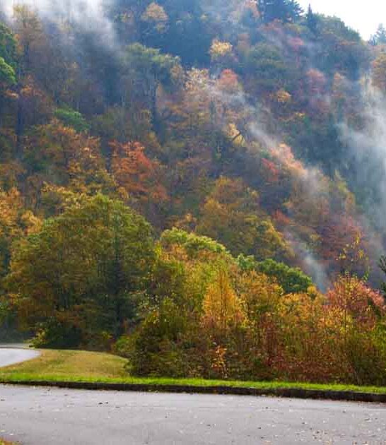 beautiful north carolina roads ftr