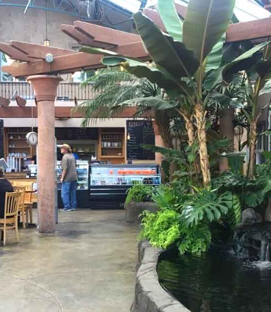 beautiful outdoor cafe washington ftr