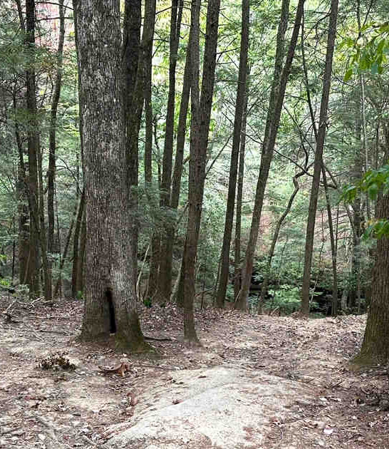 beautiful waterfall hike alabama ftr