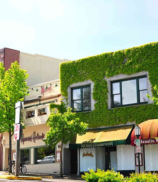 beautifully eccentric town oregon ftr