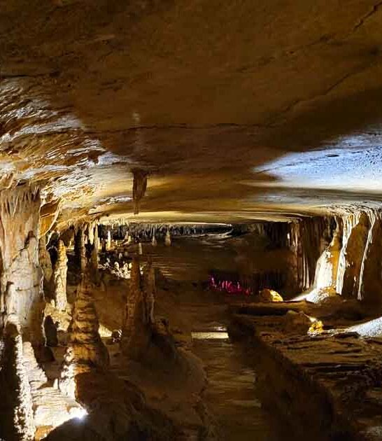 believe affordable indiana trips ftr