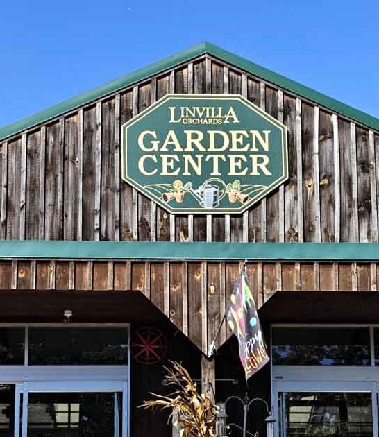 best cider donuts pennsylvania ftr