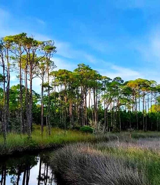 best kept secrets alabama ftr